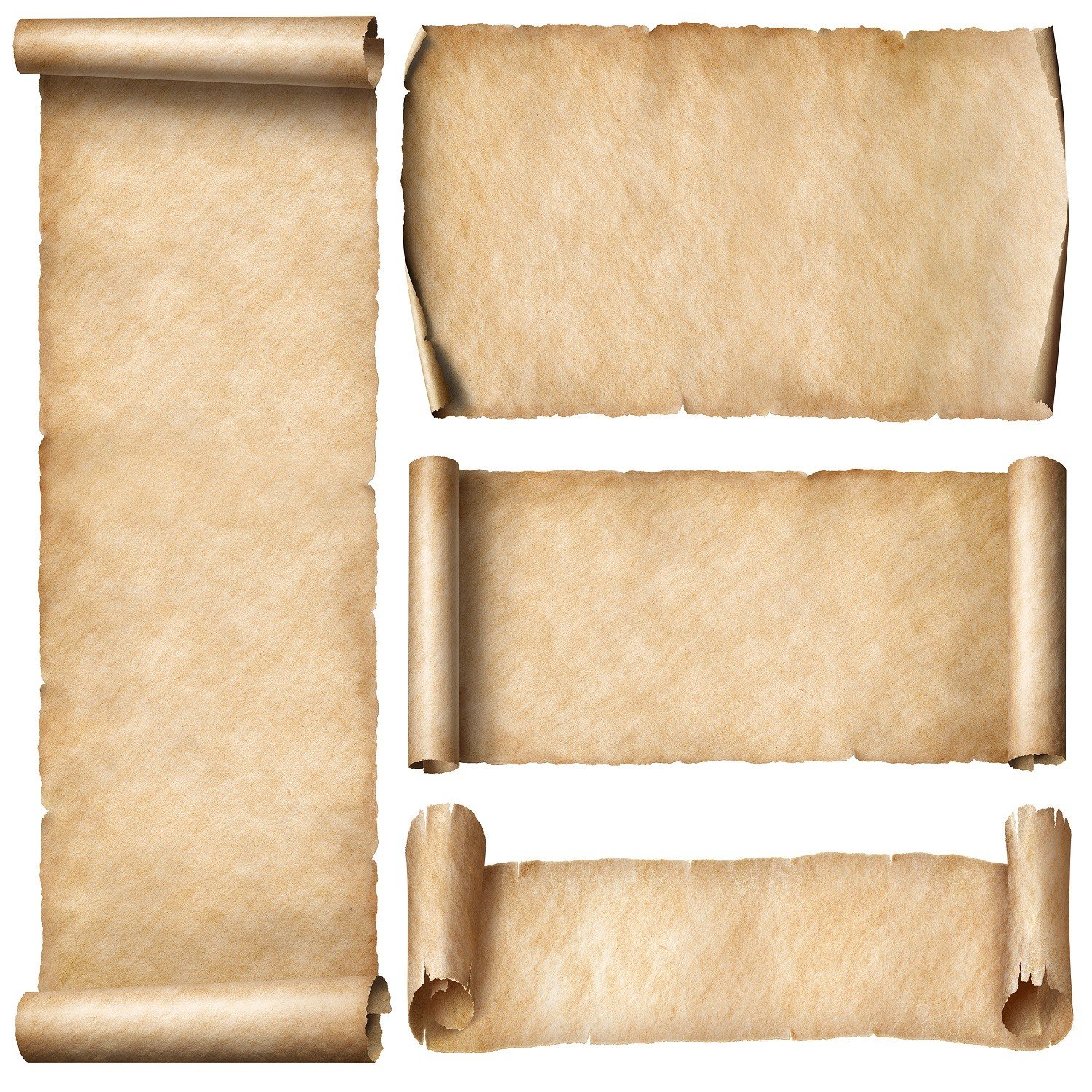 Butcher Paper: A Versatile and Essential Material